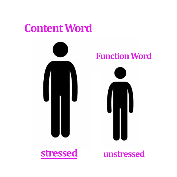 Function Words • Könnyen Gyorsan Angolul