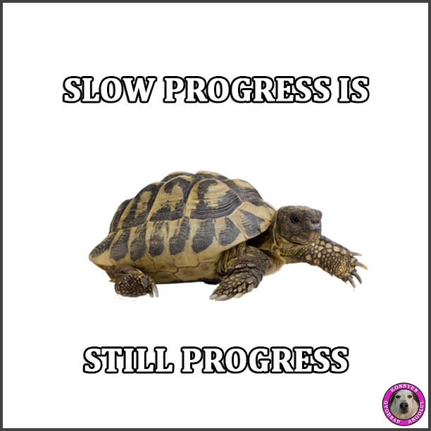 Video Progress Bar | Könnyen Gyorsan Angolul